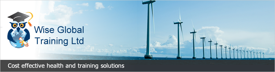 Wise Global Training eLearning